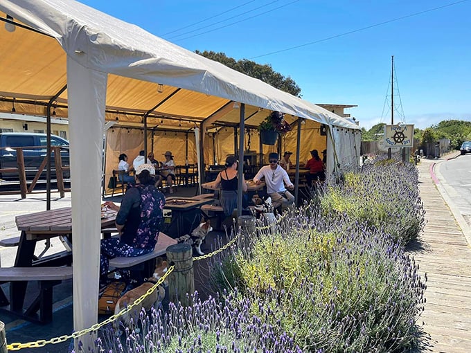 Lavender borders this outdoor dining area like nature's air freshener. Even in a pandemic, Fishwife found ways to keep the seafood flowing.