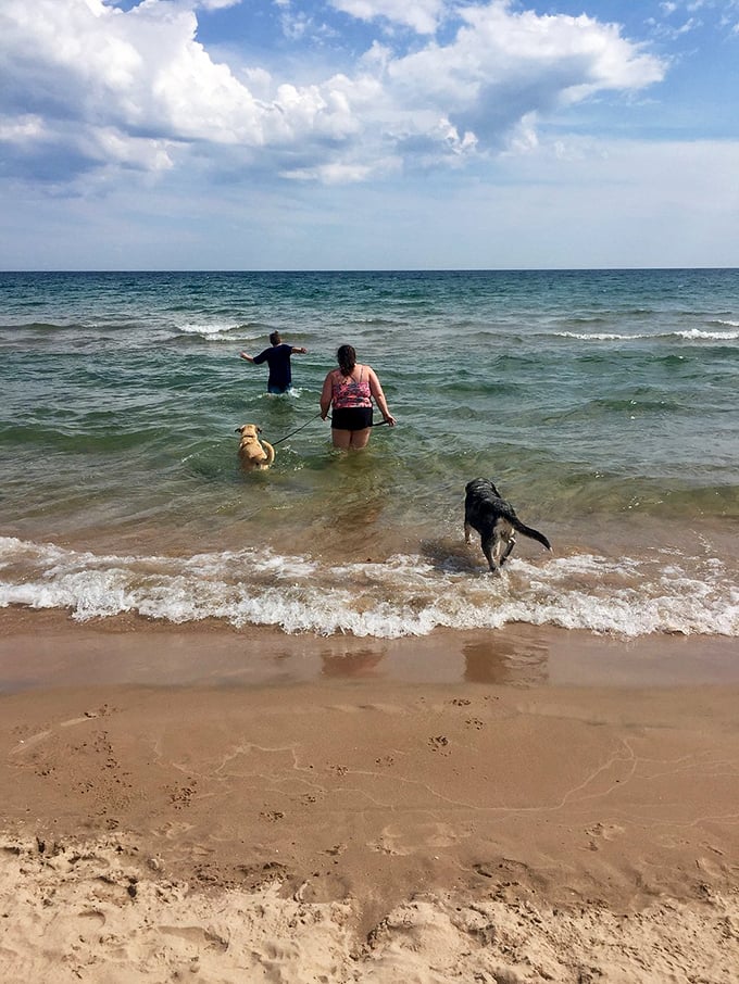 Where four-legged family members are welcome vacationers. Dogs discover that Lake Michigan's waters are just as splashy as any fancy pet spa.
