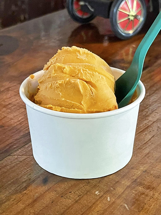 Pumpkin spice ice cream that puts all those lattes to shame. A scoop of fall that somehow tastes like childhood memories and cozy sweaters.