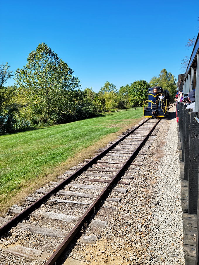 The tracks stretch into Ohio's lush landscape like an invitation to adventure, promising views that no highway traveler will ever experience.