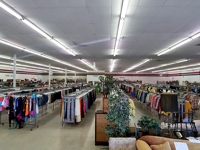 The clothing forest stretches as far as the eye can see, a kaleidoscope of fabrics where fashion trends of decades past await rediscovery.