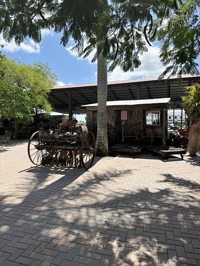 Where old farm equipment goes to retire with dignity. This weathered wagon has seen more Florida history than most tour guides. 