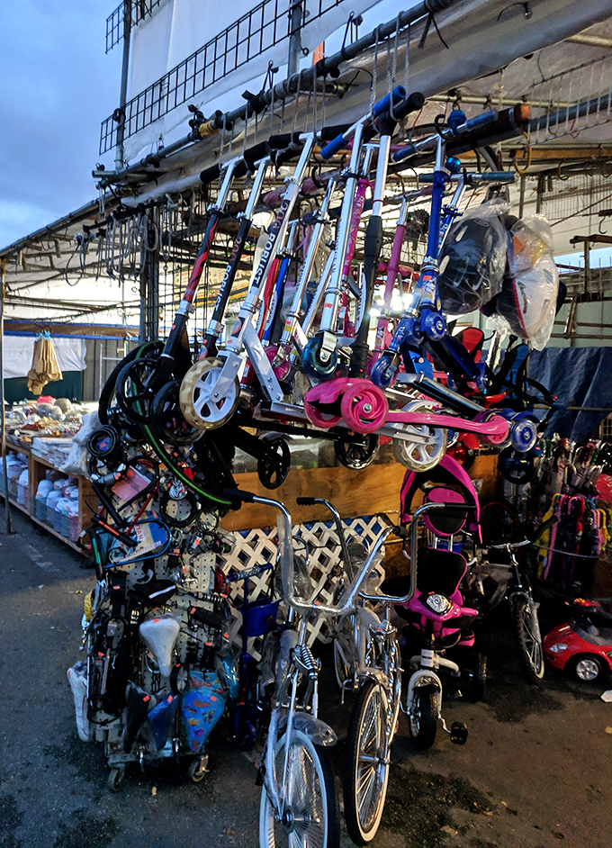 Wheels of fortune! From toddler's first scooter to adult transportation, mobility comes in all shapes and sizes here.