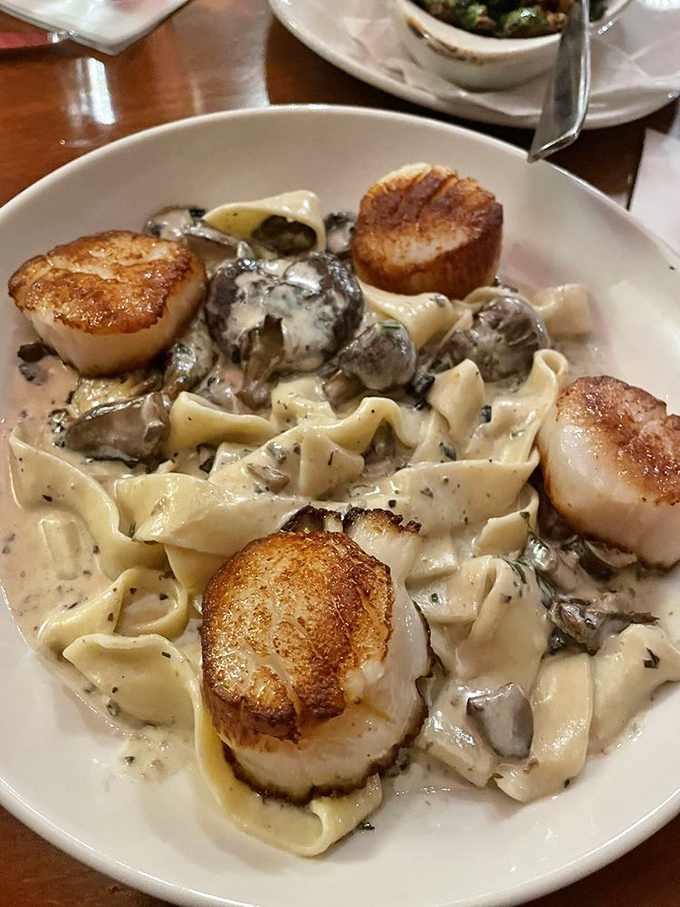 Scallops seared to golden perfection atop pasta swimming in a cream sauce that would make an Italian grandmother weep with joy.
