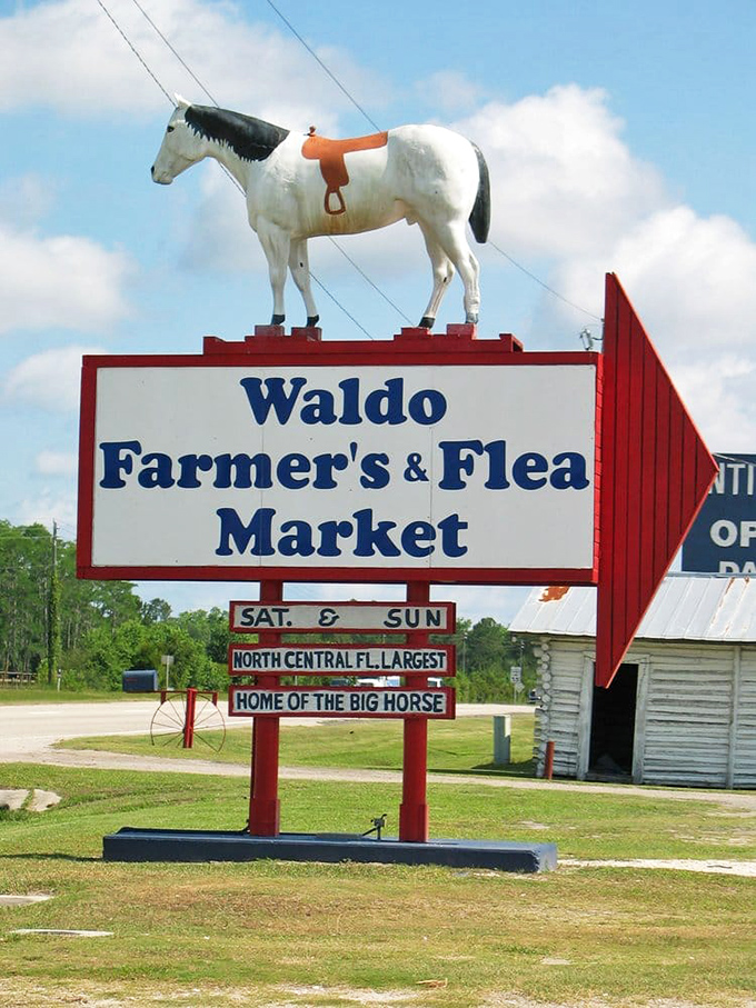 The iconic horse atop Waldo's sign has witnessed decades of weekend warriors arriving empty-handed and leaving with cars full of treasures.