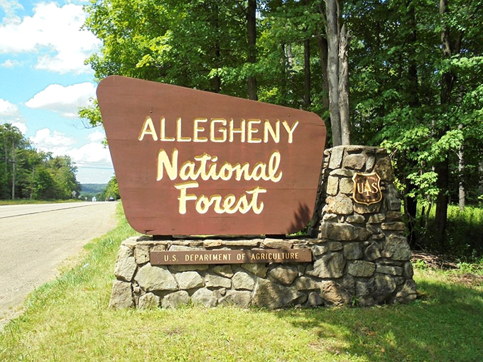 Official forest signage marks your entry into Pennsylvania's best-kept secret that's hiding in plain sight beautifully.