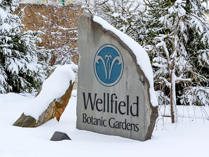 Even in winter's embrace, Wellfield's entrance sign stands as a promise that beneath the snow, garden magic merely sleeps, waiting for spring. 
