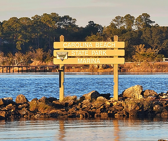 The park's marina sign bathes in golden light, marking the spot where river adventures begin and cellphone signals surrender.