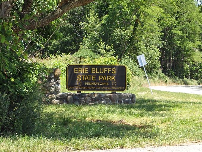 The unassuming entrance sign gives no hint of the wonders beyond. Like the best-kept secrets, Erie Bluffs State Park saves its magic for those who actually show up.