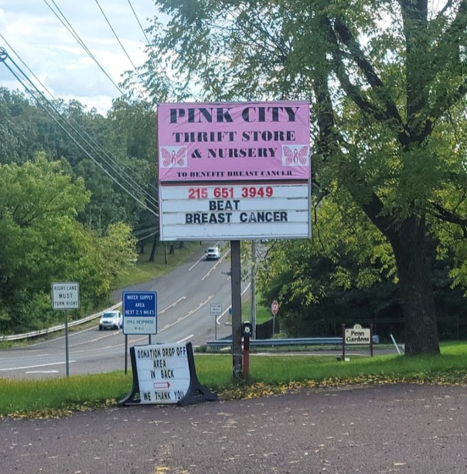 The pink sign announces the store's breast cancer mission, proving that sometimes the best treasures are the ones that give back.