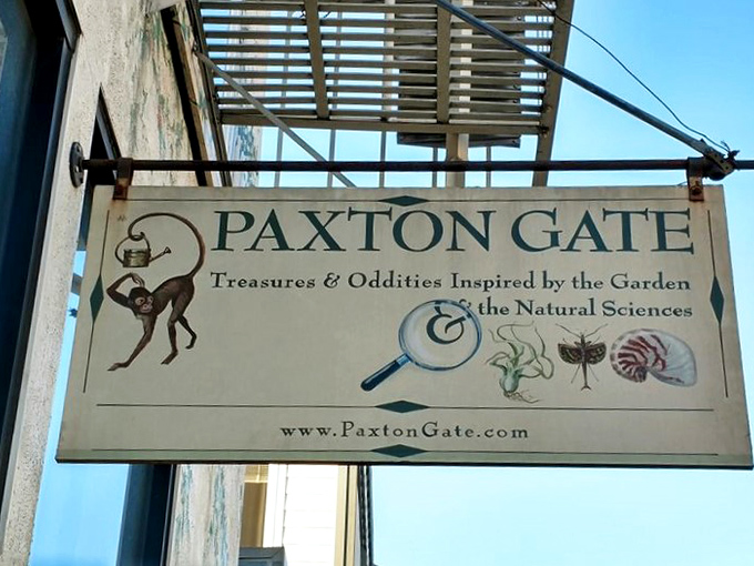 The sign says it all: "Treasures & Oddities Inspired by the Garden & the Natural Sciences." A perfect summary of this beloved San Francisco institution.