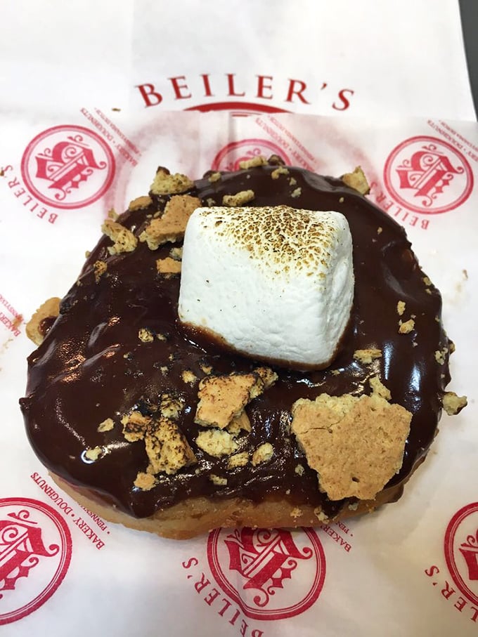 The s'mores donut: campfire nostalgia in handheld form, no mosquito bites required. Graham cracker crumbs scatter like delicious breadcrumbs with each bite.