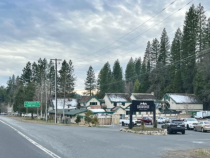 Snowshoe Brewing Company's rustic outpost promises craft beers that taste even better after a day of mountain adventures&mdash;or just watching other people have them.