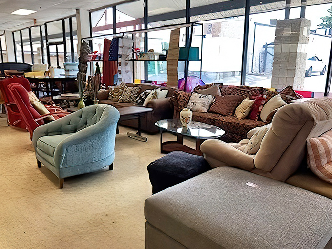 The sofa showcase&mdash;a living room lineup where mid-century meets contemporary. That teal armchair is practically begging to become someone's reading nook.