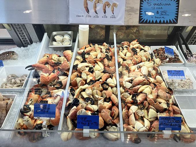 Stone crab claws arranged like edible art. Nature's perfect design meets Sea Salt's perfect presentation&mdash;crack, dip, and prepare for bliss.