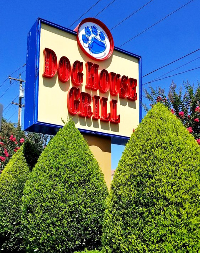 That bold red lettering against blue sky announces a destination where burger dreams become delicious, satisfying reality.