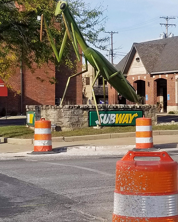 Even construction can't diminish KokoMantis's charm&mdash;those orange barrels look like they're being herded by Kokomo's favorite green guardian.