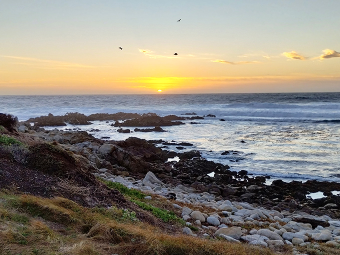 Pacific Grove sunsets perform nightly with no tickets required—just bring your own soundtrack and someone worth impressing.