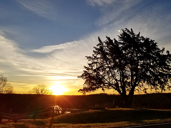 Golden hour perfection that makes you pause mid-conversation. Some moments simply demand silent appreciation and maybe just one photo.