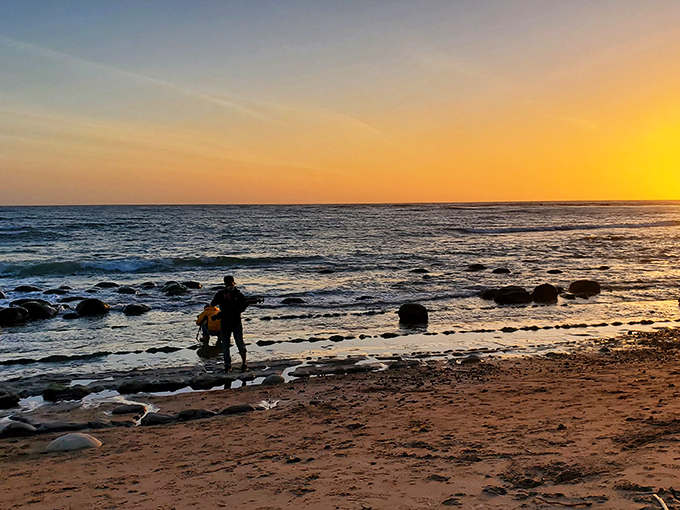 Golden hour transforms beach strollers into silhouettes. Even after seeing countless California sunsets, this one still stops you in your tracks.