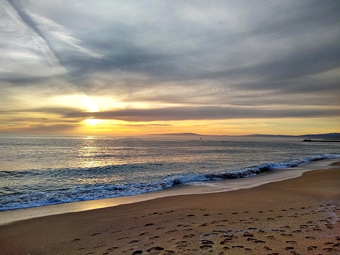 Nature's nightly masterpiece doesn't require tickets. Moss Landing sunsets paint the sky in impossible colors, turning even amateur photographers into artists.