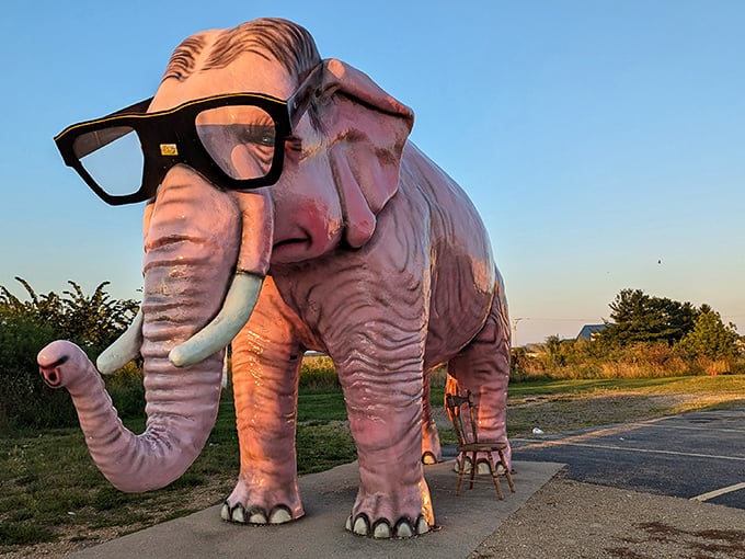 Bathed in golden hour light, even a pink fiberglass elephant can look downright majestic against a Wisconsin sunset.