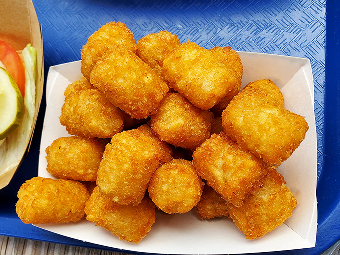 Tater tots that crunch like childhood memories but taste like grown-up indulgence—the perfect sidekick to any sandwich adventure.