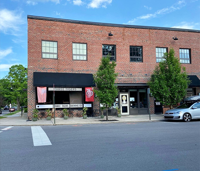 Three Tigers Brewing Company crafts liquid happiness in a space that feels like home's cooler cousin.