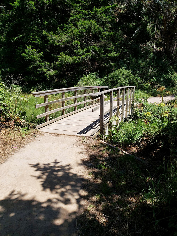 This unassuming bridge marks the beginning of an extraordinary journey. Like all great adventures, it starts with a single step.