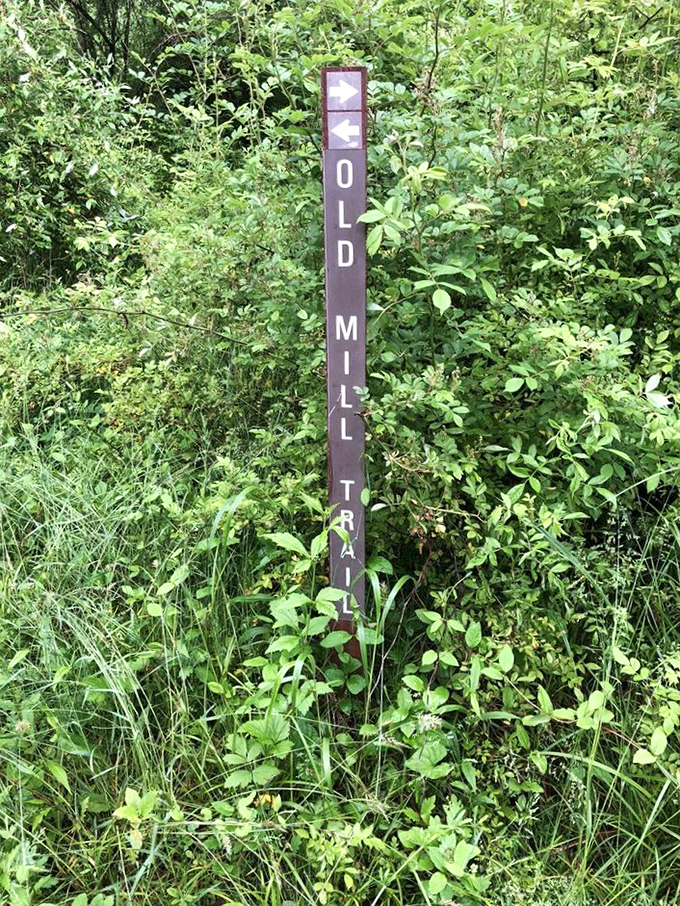 Nature's directional service. This weathered trail marker has guided more hikers than Google Maps, with significantly better scenery and zero pop-up ads.