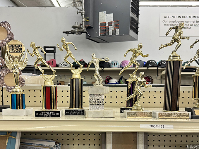 Trophy case of abandoned victories and forgotten tournaments. These golden figures forever frozen mid-stride are waiting for a new shelf to call home.