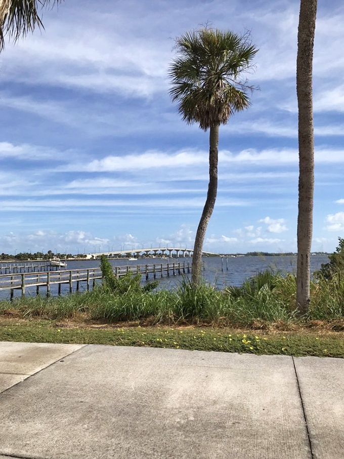 After breakfast, this is your reward: a quintessential Florida view where palm trees stand sentinel over water that sparkles like it's competing with the sky.
