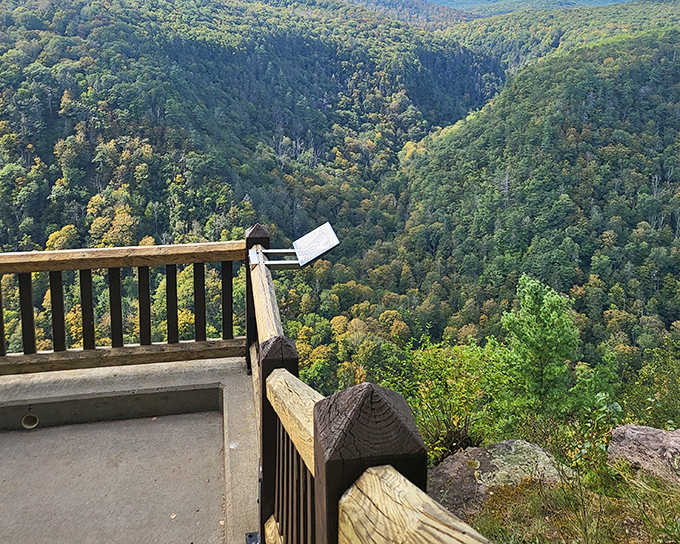 The viewing platform frames nature's canvas in autumn, when the gorge erupts in a color palette that would make even Bob Ross reach for extra paint.