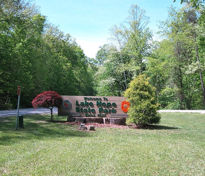 Lake Hope's welcoming committee: a sign nestled among flowering trees, promising adventures that no virtual reality headset could ever replicate.