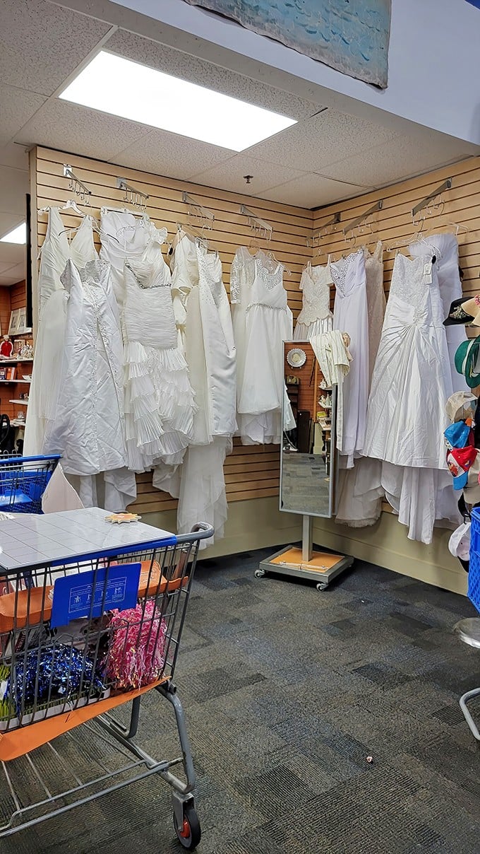 Wedding dress heaven for budget-conscious brides. Something borrowed, something blue, something thrifted feels brand new!