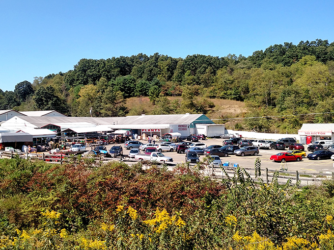 Nestled against Pennsylvania's rolling hills, this discount mecca has become a landmark for savvy shoppers. The full parking lot speaks volumes about what awaits inside.
