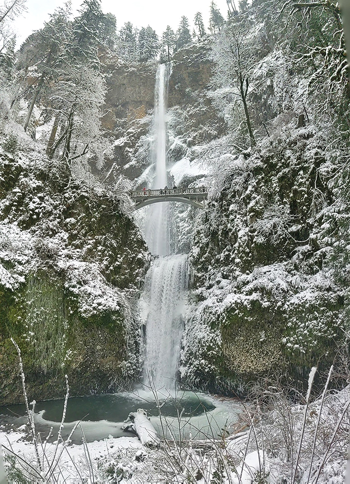 Winter drapes Wahkeena Falls in a crystalline coat, transforming the familiar cascade into something from a fairy tale dream sequence.