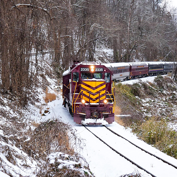 Winter transforms the journey into a Narnia-like adventure, with the train's warm interior offering front-row seats to nature's most exclusive snow show.