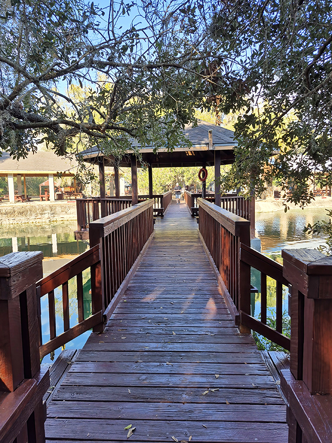 Wooden pathways connect you to Florida's natural wonders. This bridge leads to memories that will last far longer than your suntan.