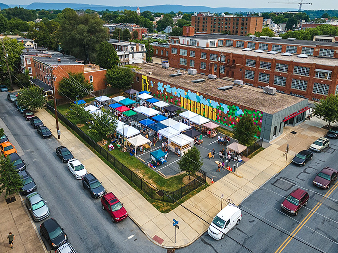An aerial view reveals the organized chaos that makes flea market treasure hunting absolutely irresistible.