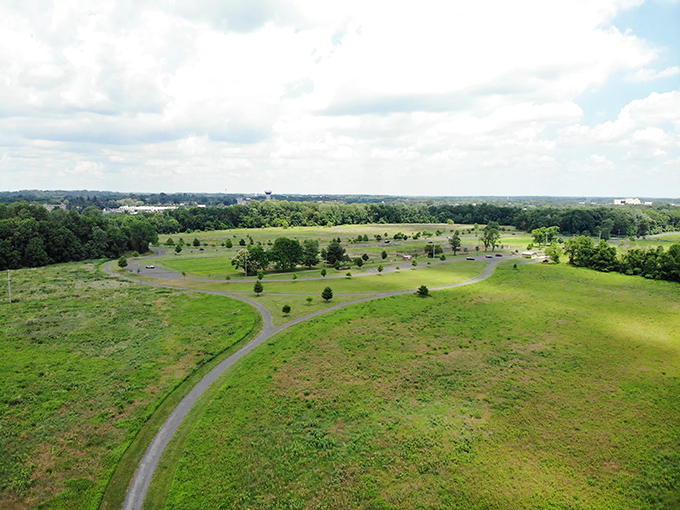 From above, the park reveals its true character &ndash; an emerald oasis surrounded by urban development, like finding an unexpected $20 bill in your winter coat.