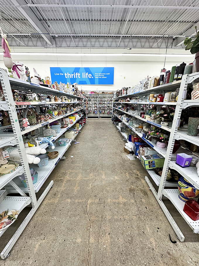 "Live the thrift life" isn't just a slogan &ndash; it's the philosophy that guides these treasure-filled aisles of possibility.