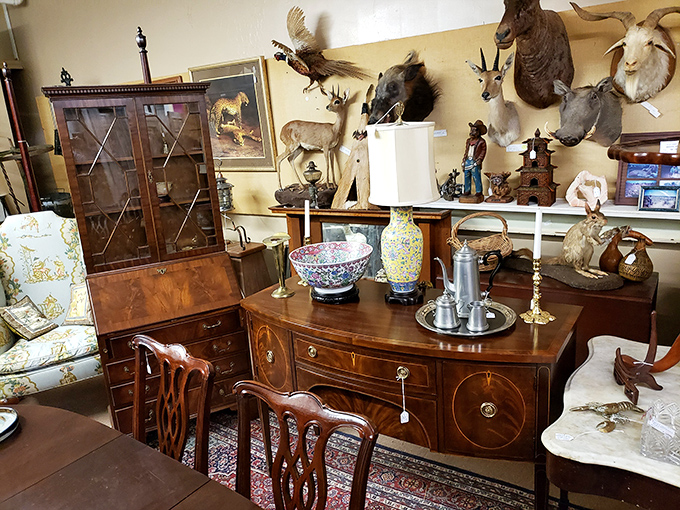 A collector's dream corner where mahogany furniture meets mounted wildlife &ndash; proof that one person's eccentric is another person's perfect fin