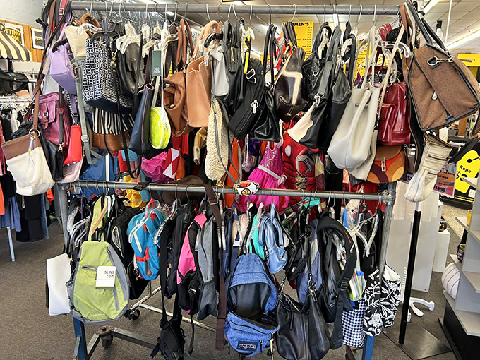 The handbag habitat—where designer knockoffs and genuine vintage finds dangle together in democratic fashion, waiting for their next shoulder to ride on.