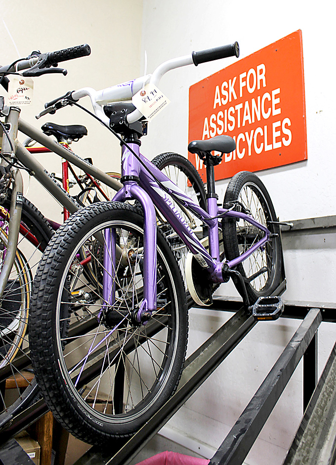 Bicycle bonanza where two-wheeled freedom machines await their next adventure with surprisingly reasonable price tags.