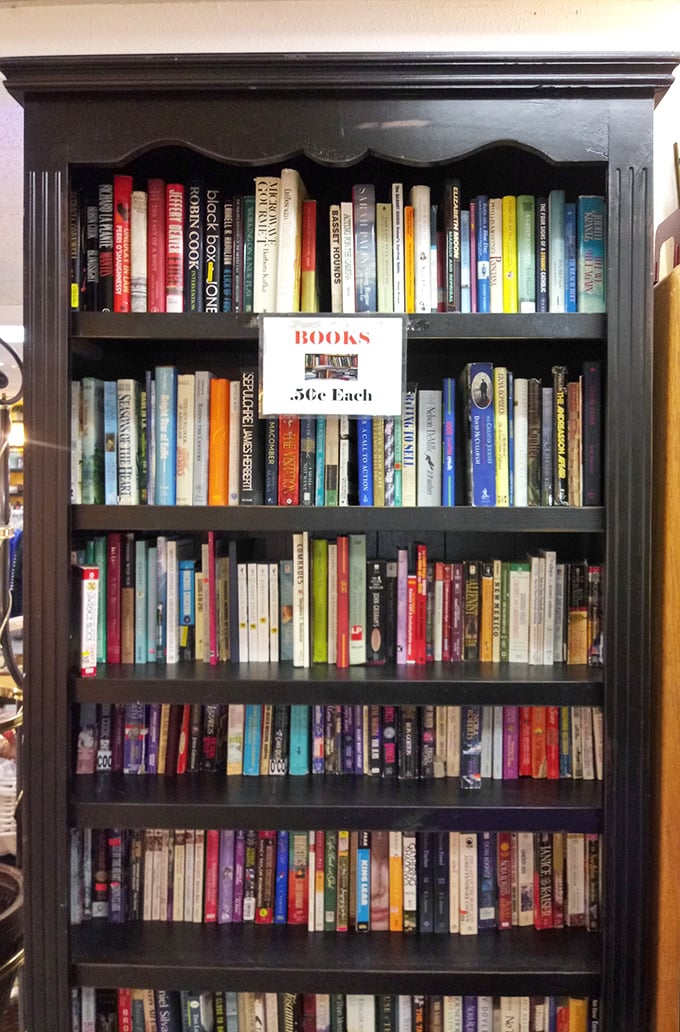 Bookworm heaven at 50 cents each. Literature, cookbooks, and mysteries—because the best stories deserve a second chance at being loved.