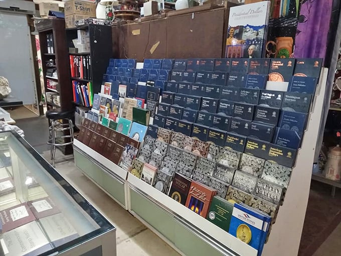 A bibliophile's dream corner where rare finds and everyday reads coexist. Those blue binders likely contain someone's meticulously cataloged collection now seeking a new curator.