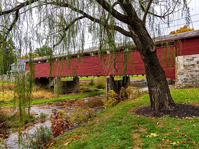 Weeping willows frame covered bridges like nature's own Instagram filter, but infinitely more romantic and timeless.