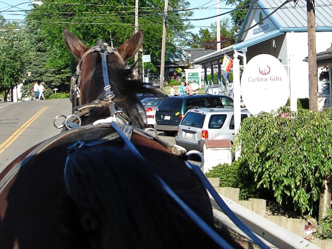 The best seat in the house. Experience Walnut Creek from a horse-drawn buggy and you'll understand why some traditions are worth preserving.