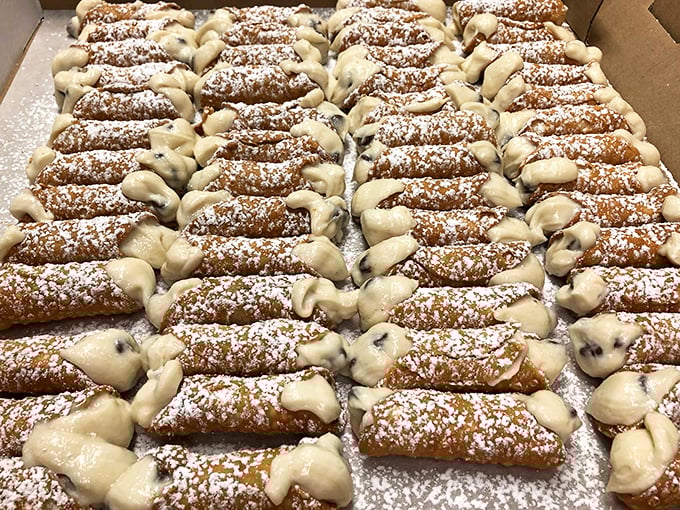 Cannolis lined up like delicious little soldiers, their chocolate-studded cream standing at attention. Resistance is futile.